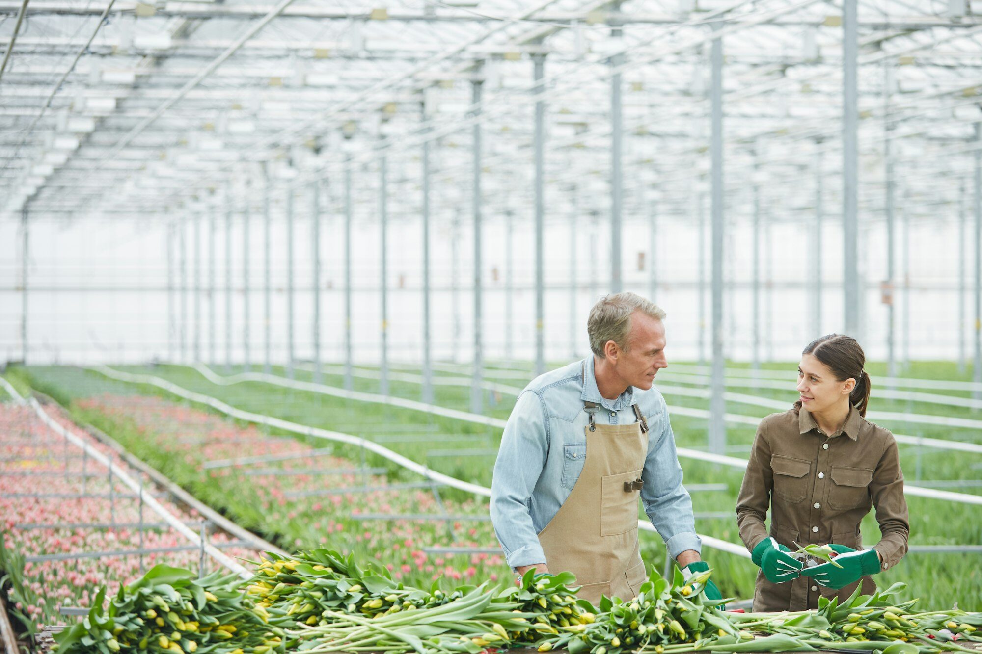 Next Gen - Motmans & Partners